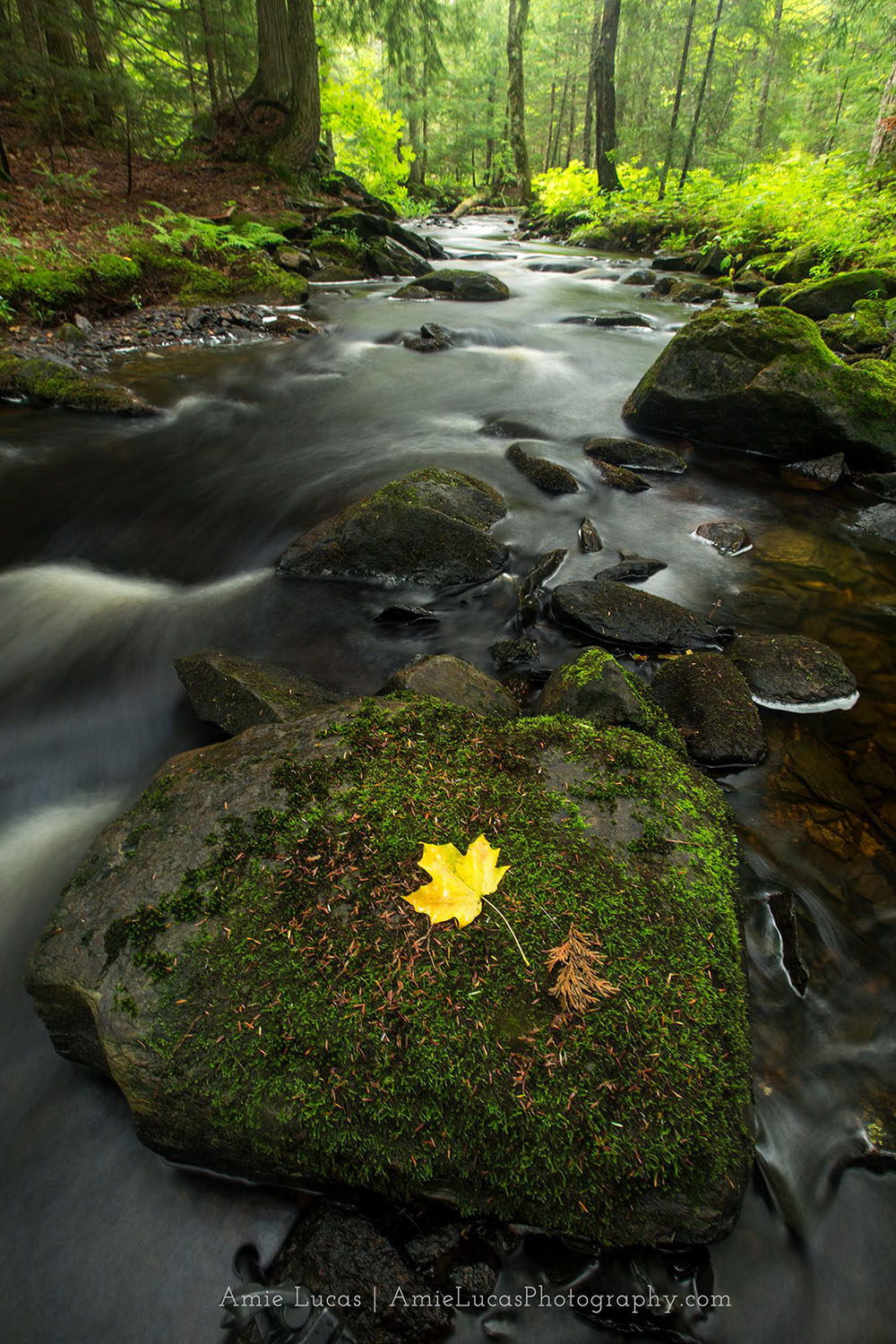 Hiking the Wild McCormick Wilderness Area